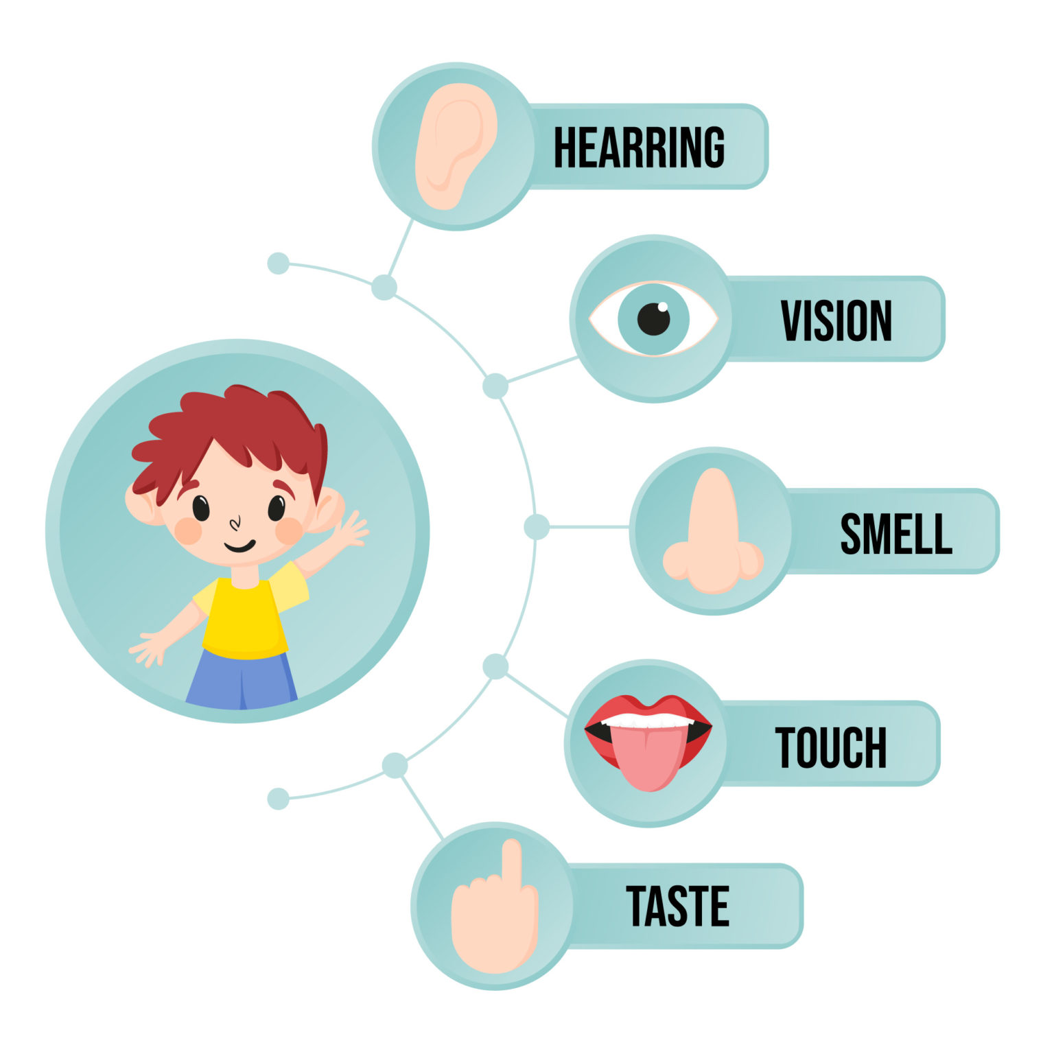 The Importance of Five Senses in Learning for Kids